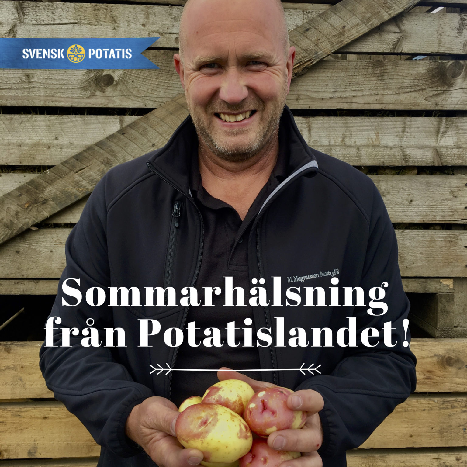 Hälsning från Potatislandet – augusti månad – Svensk Potatis
