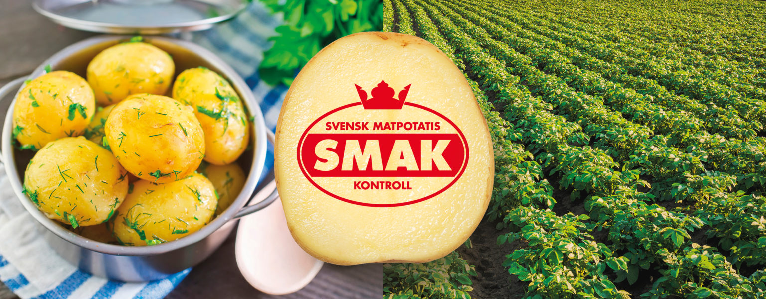 Svensk Potatis – Allt om potatis