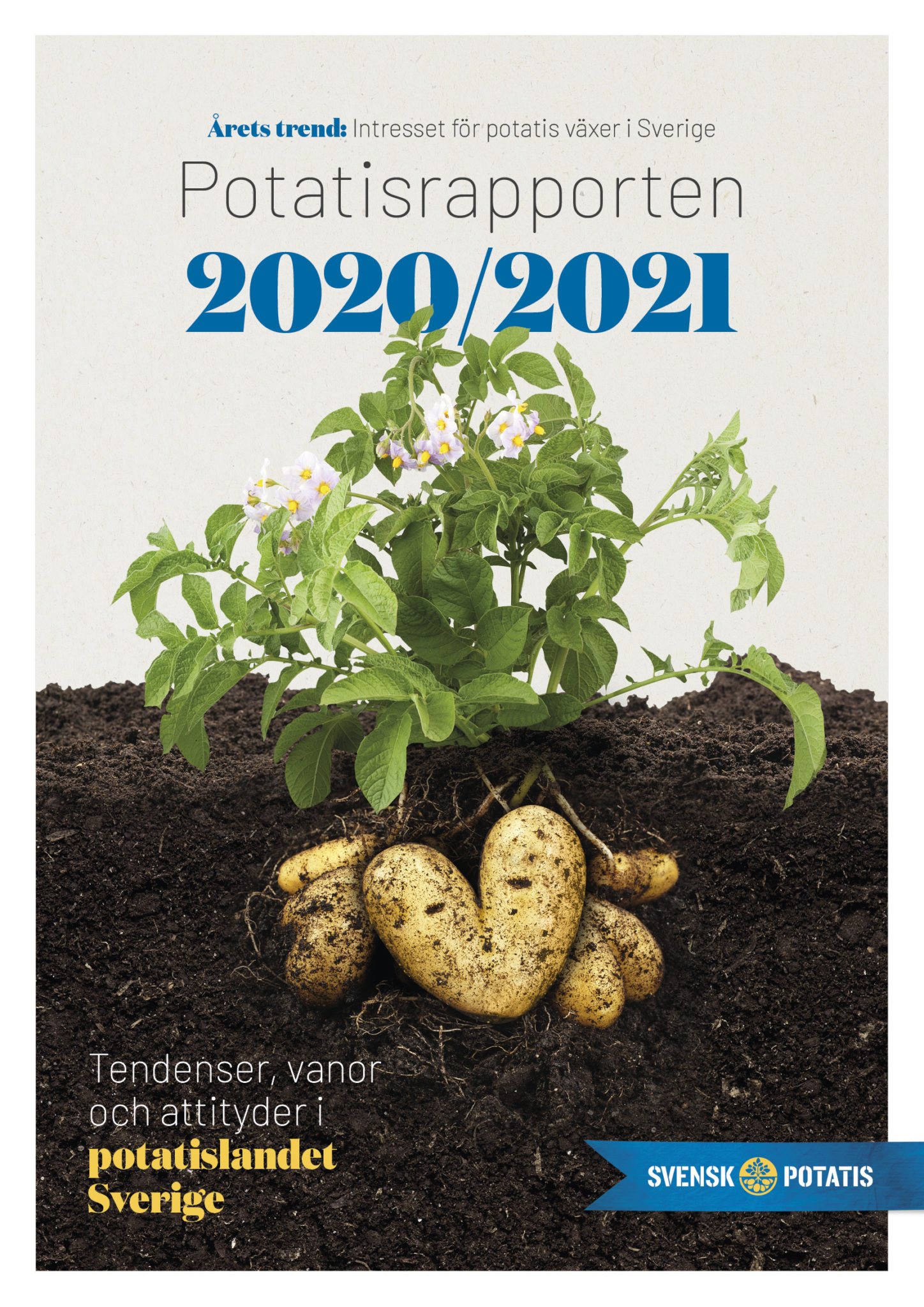 Potatisrapport 2020/2021 – Svensk Potatis